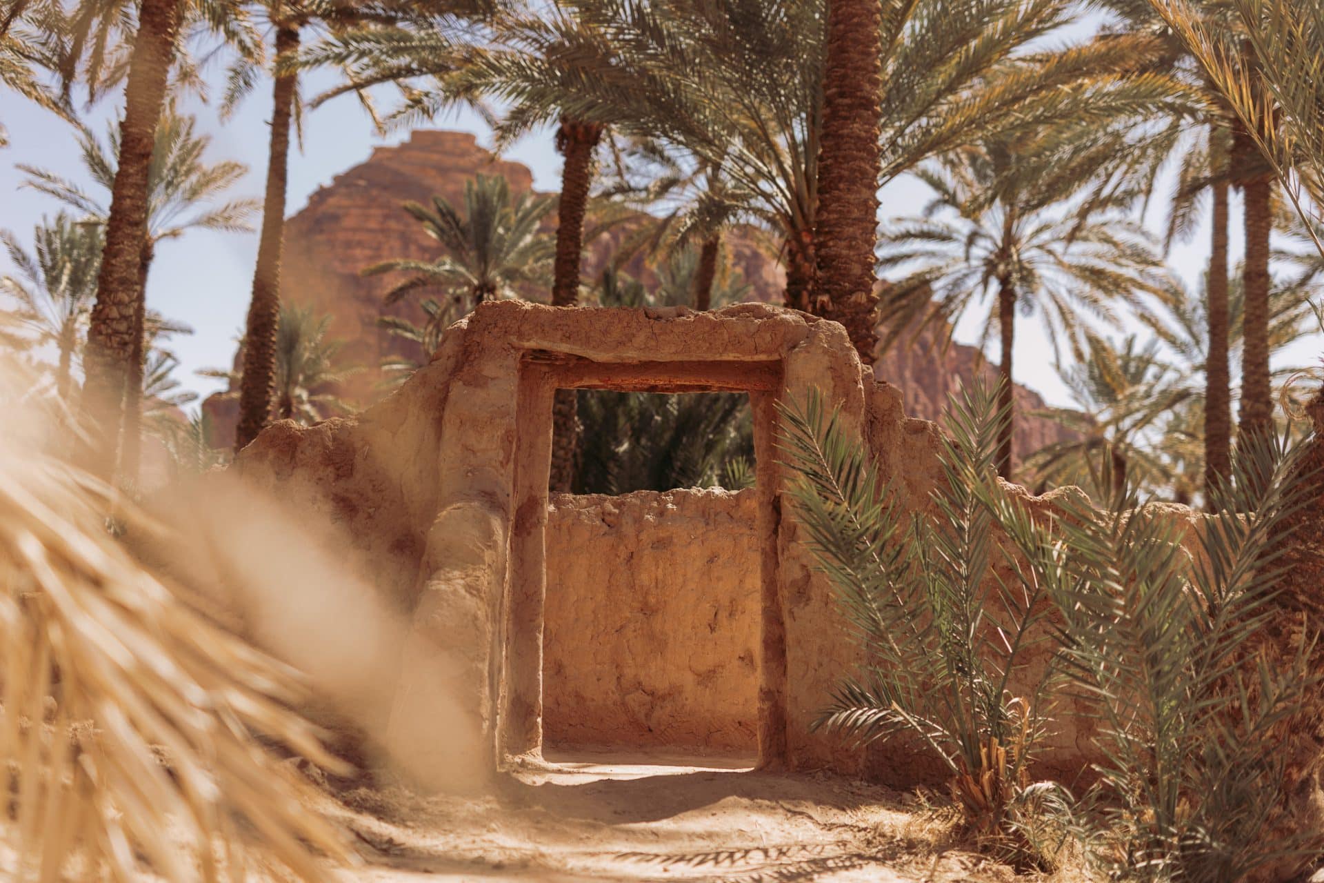 AlUla’s Ancient Kingdom’s Festival Brings the History of the Arabian ...