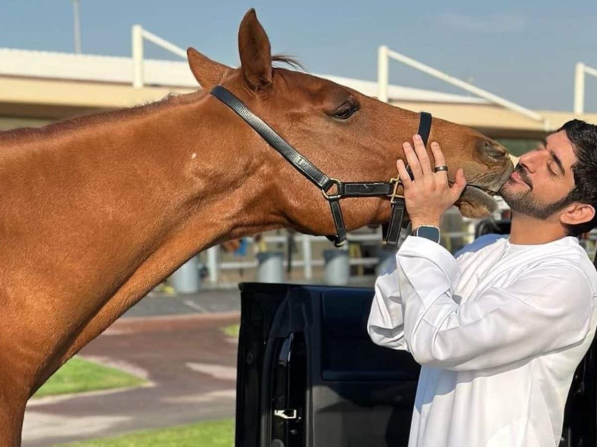 Royal Hobbies: How 9 Arab Royals Spend Their Free Time