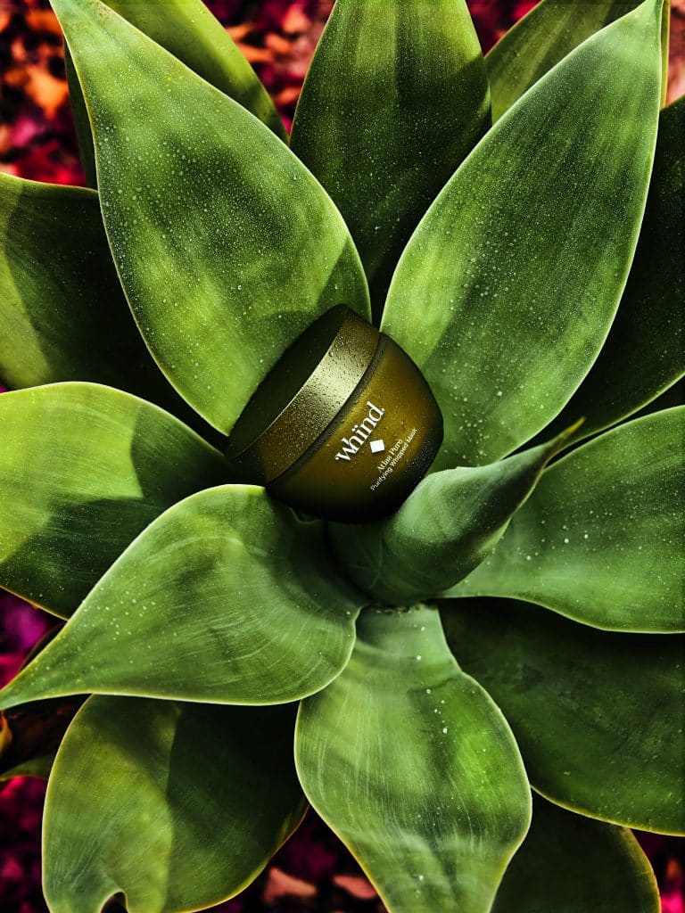 24 Hours With Whind's Hind Sebti