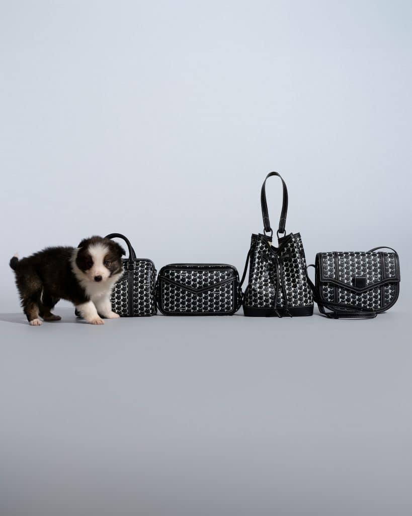 Pawsitivley Chic: Introducing Moynat's Canvas M Collection | Harper's ...