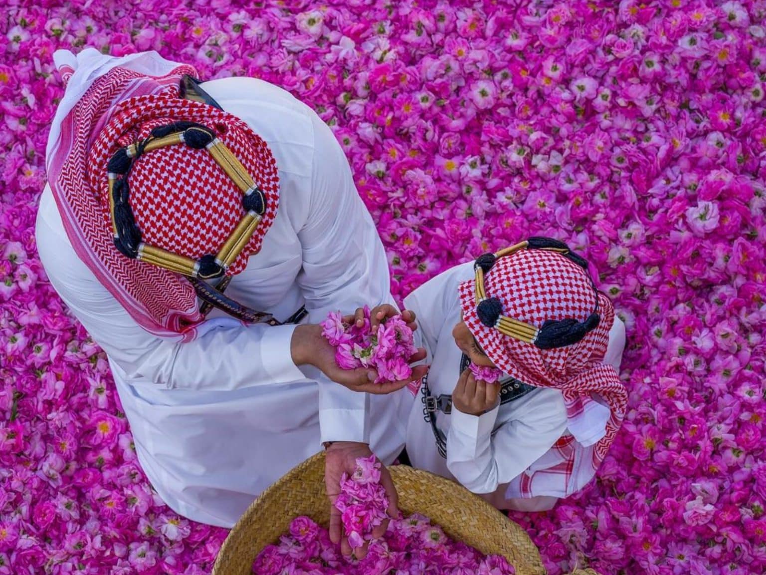 Saudi Arabia's Taif Rose Festival 2024 in Pictures