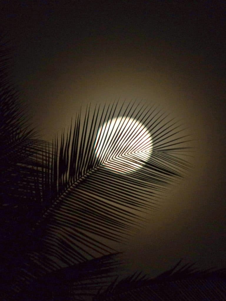Flower Moon In The UAE: Best Spots to See It