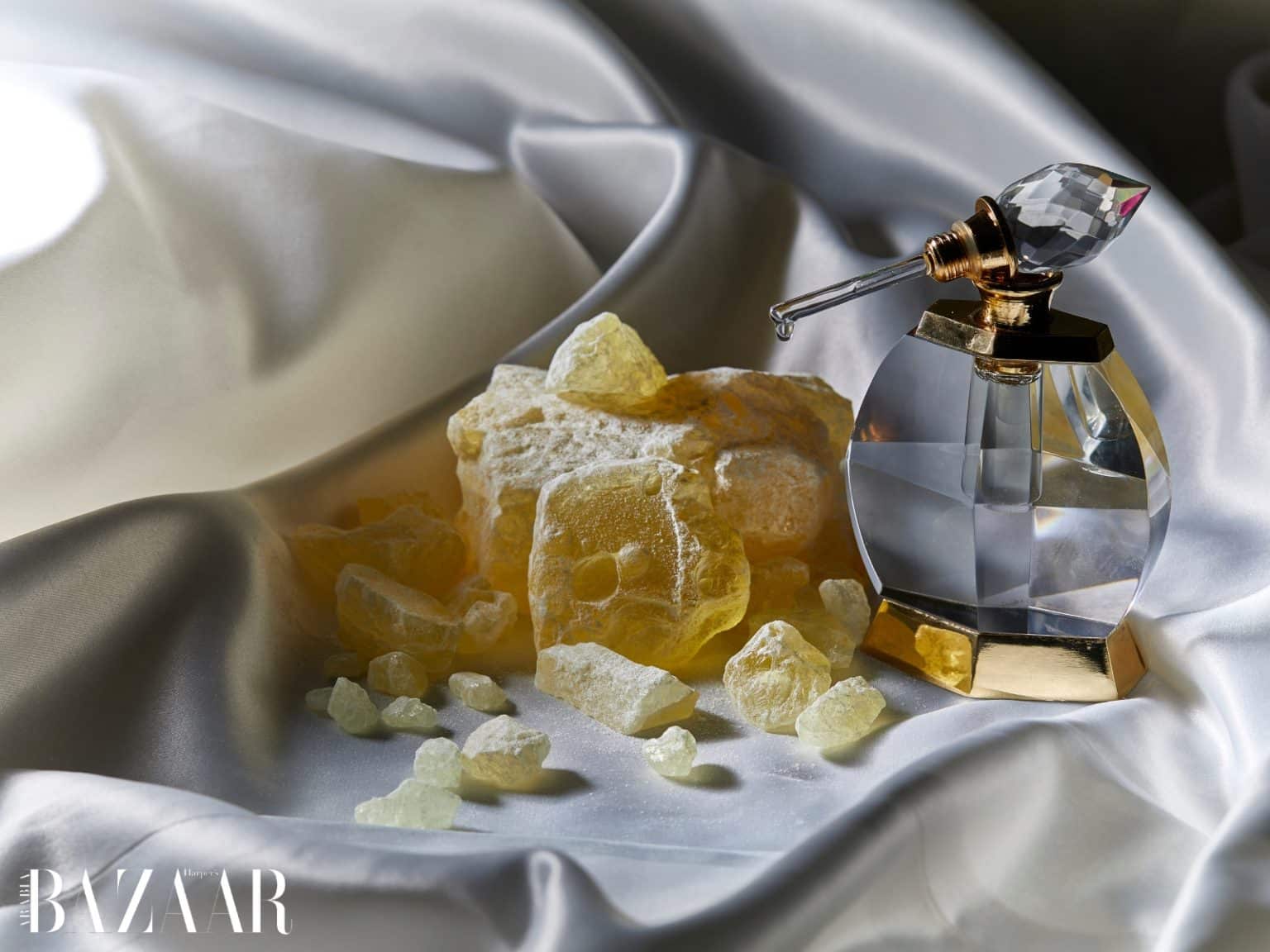 More Valuable Than Gold: Where Does Musk Come From?