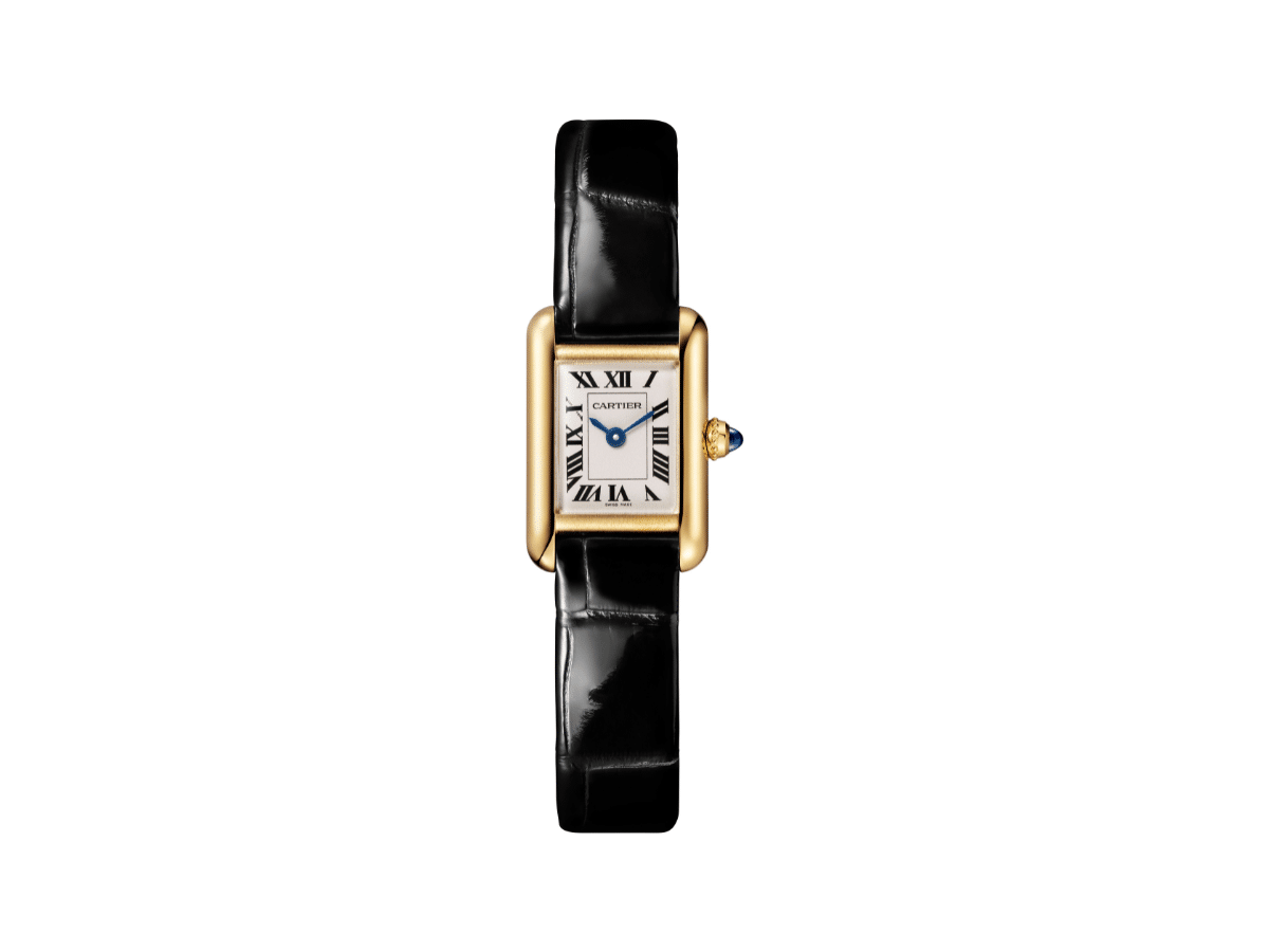 Why Mini Watches Are Here To Stay into 2025...