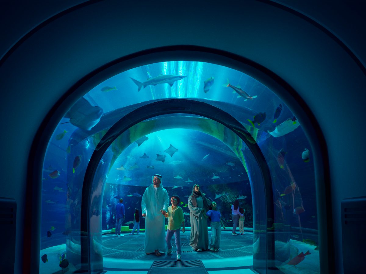 Sea World Abu Dhabi - News, Photos & Videos on Sea World Abu Dhabi ...