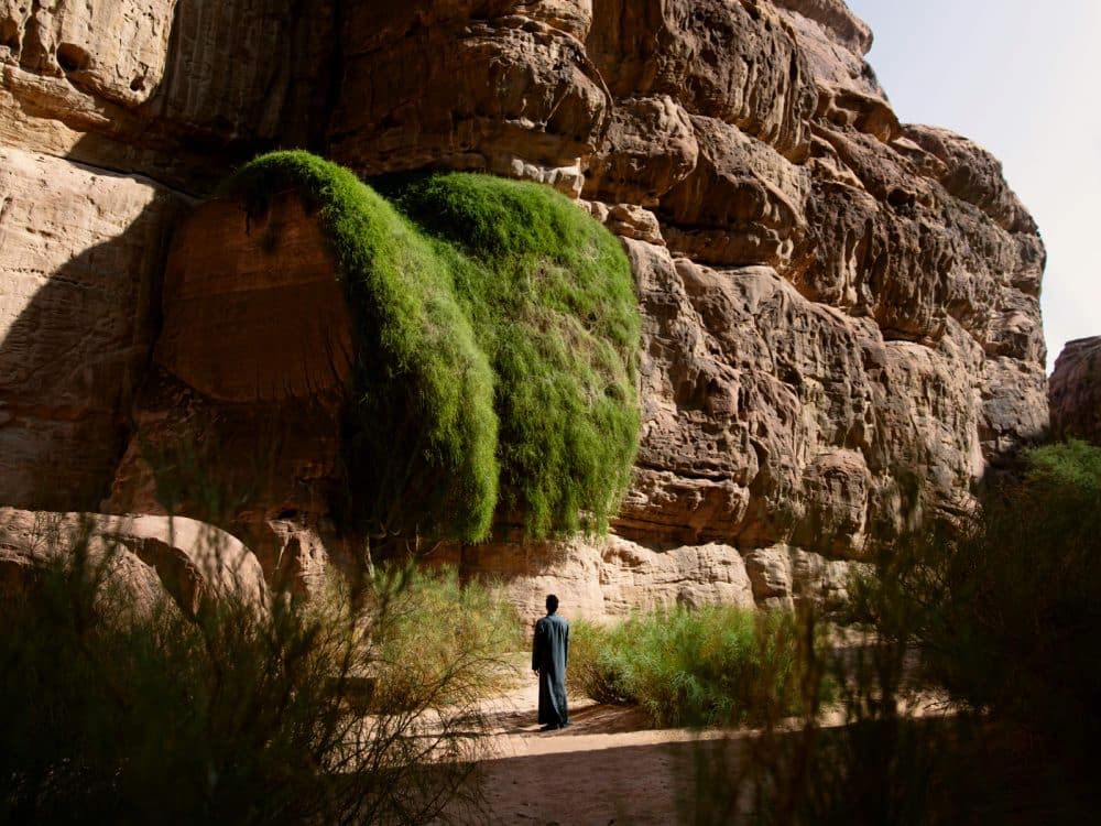 What is Saudi Green Initiative Day? Everything We Know About The ...