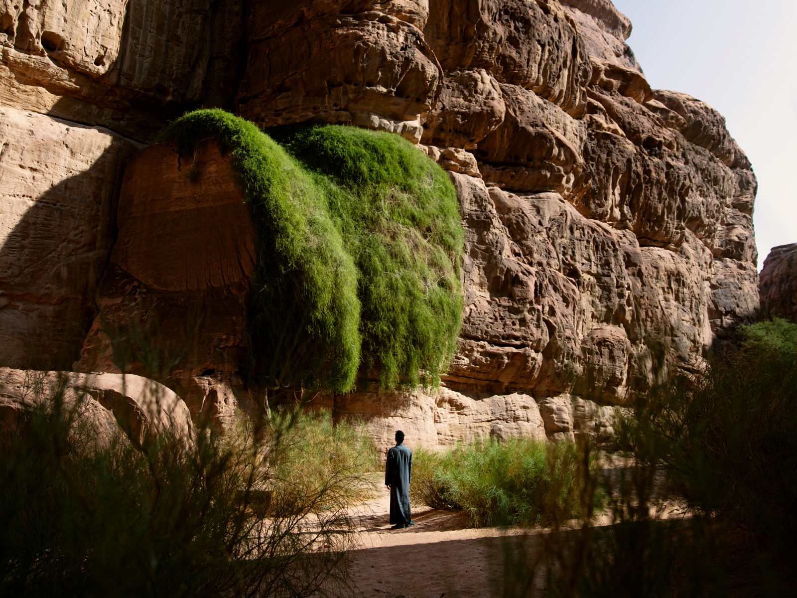 What is Saudi Green Initiative Day? Everything We Know About The ...