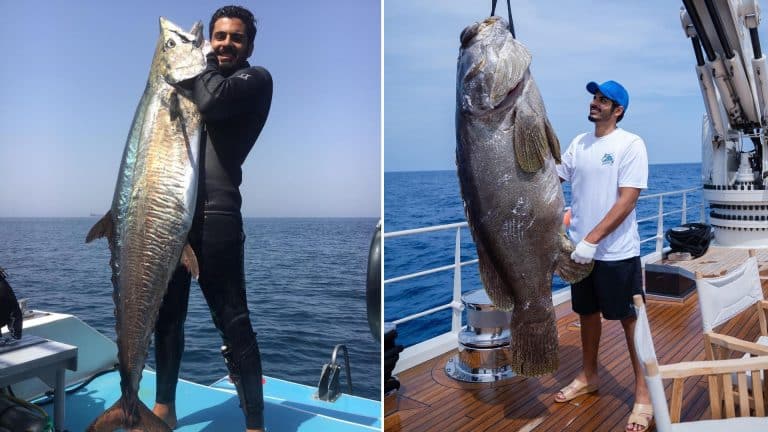 Who is Sheikh Khalifa bin Hamad bin Khalifa Al Thani of Qatar?