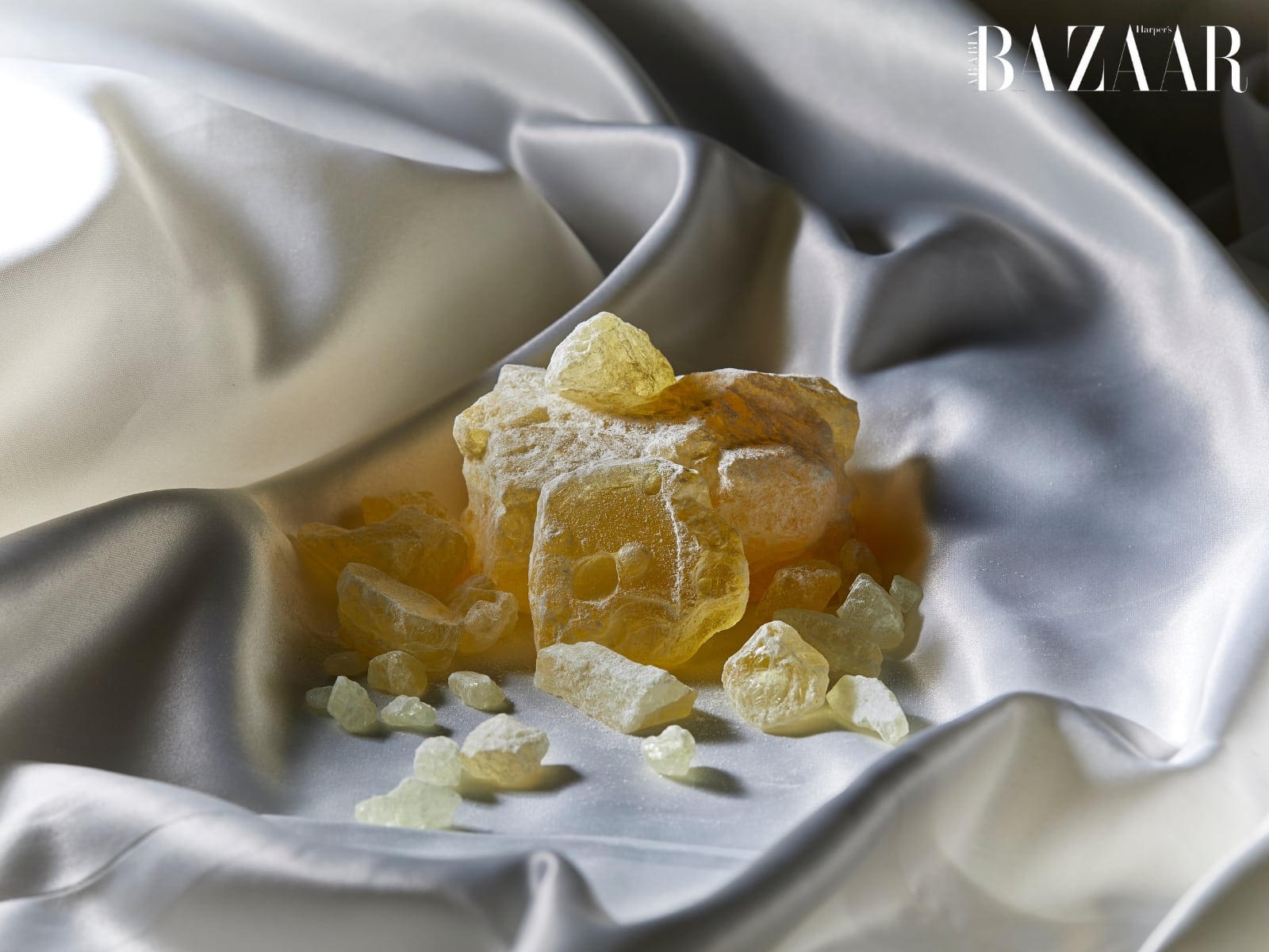 Musk In The Arab World - News, Photos & Videos on Musk In The Arab ...