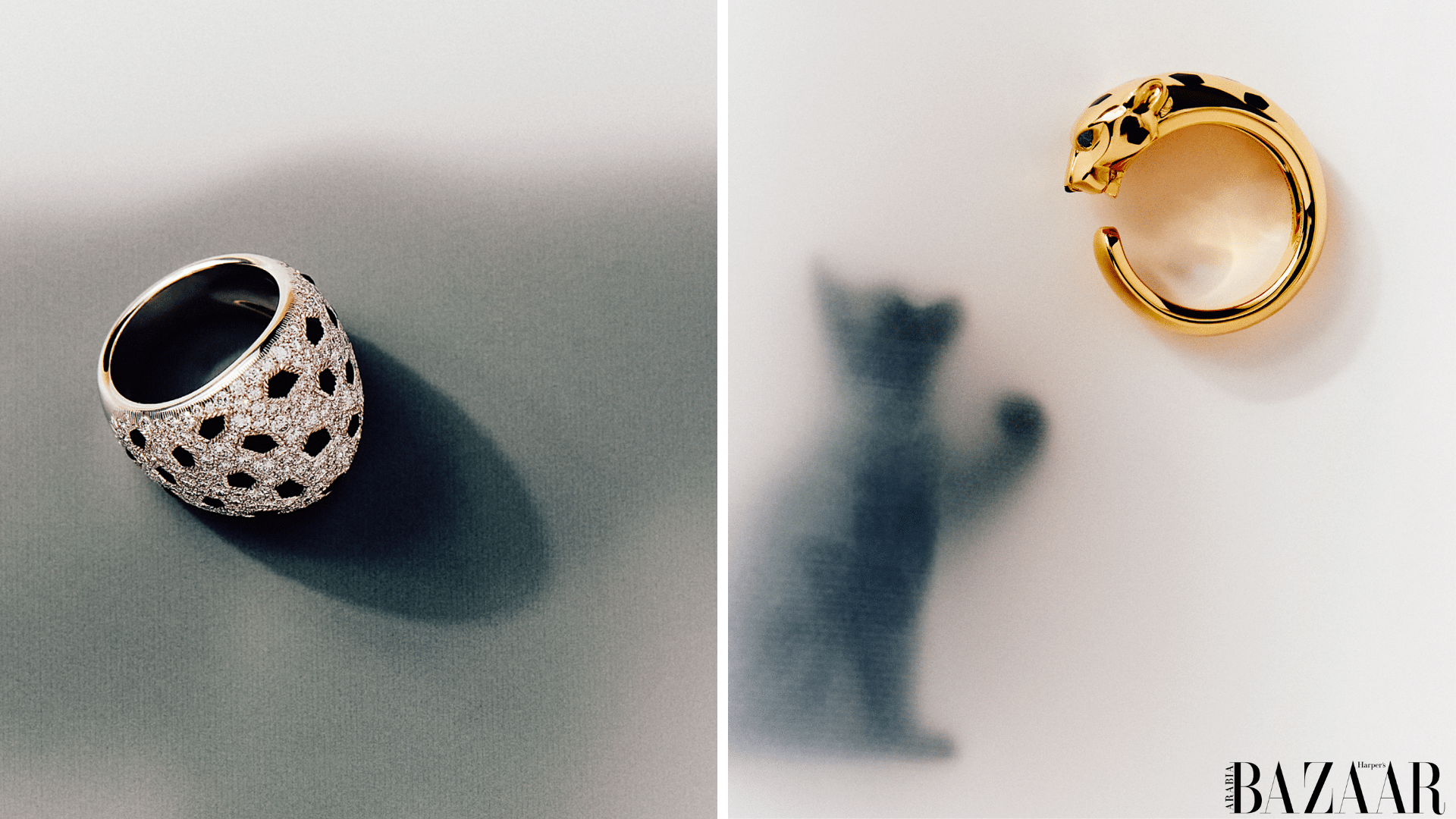 Cat Person: A Study of Panthère de Cartier’s Power and Prowess - Harper ...